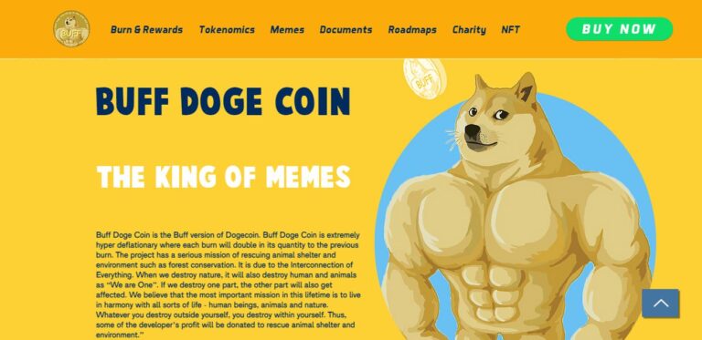 🥇How to safely buy Buff Doge Coin (DOGECOIN): Step by Step - Blockchain es